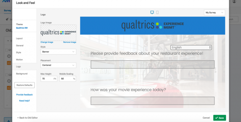 Look and Feel - Qualtrics » Information Technology Services
